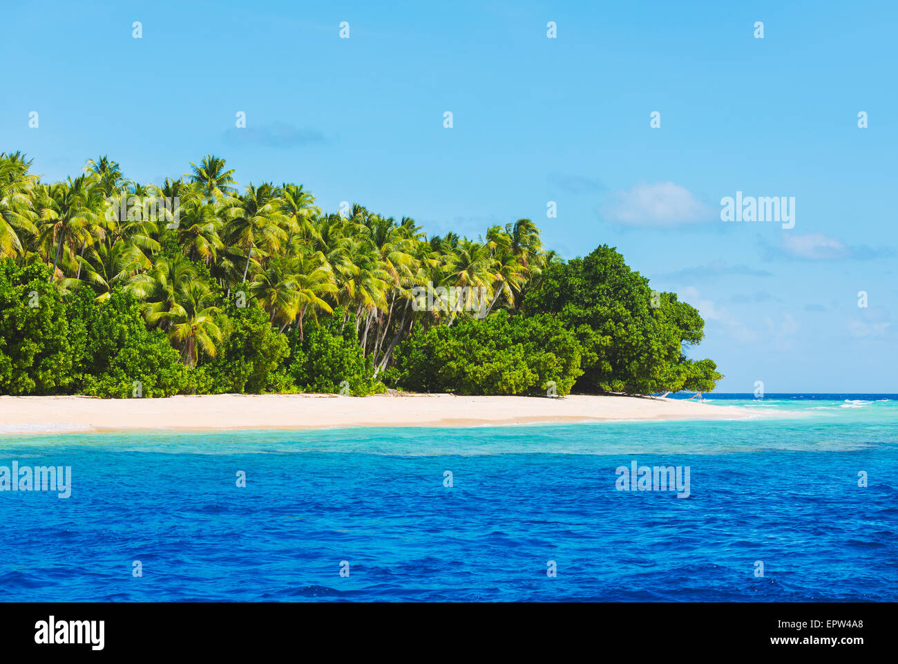 Tropical Island, Blue Ocean and Palm Trees Stock Photo - Alamy