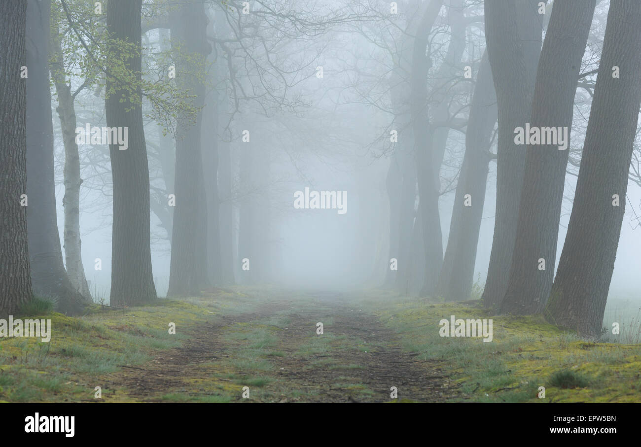 Empty lane hi-res stock photography and images - Alamy