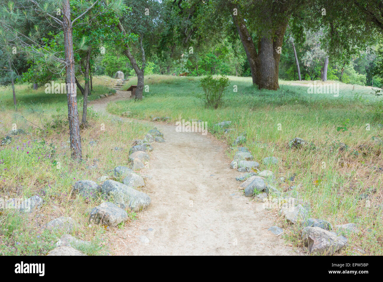 Winding dirt path alongside rocks on forest trail Stock Photo - Alamy