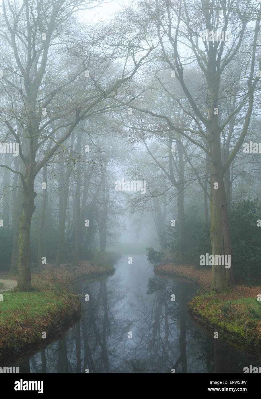 Pond in a landscape park on a foggy, spring day Stock Photo - Alamy