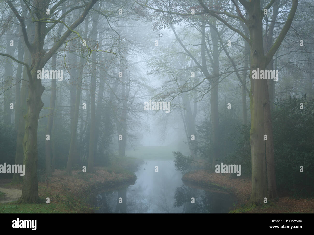 Pond in a landscape park on a foggy, spring day Stock Photo - Alamy