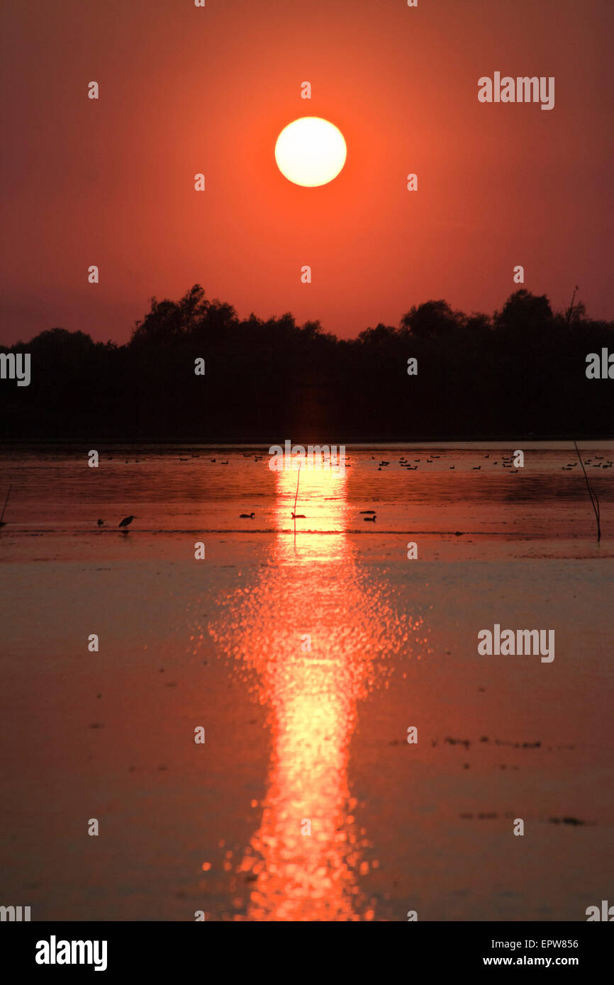 Delta sunset hi-res stock photography and images - Alamy