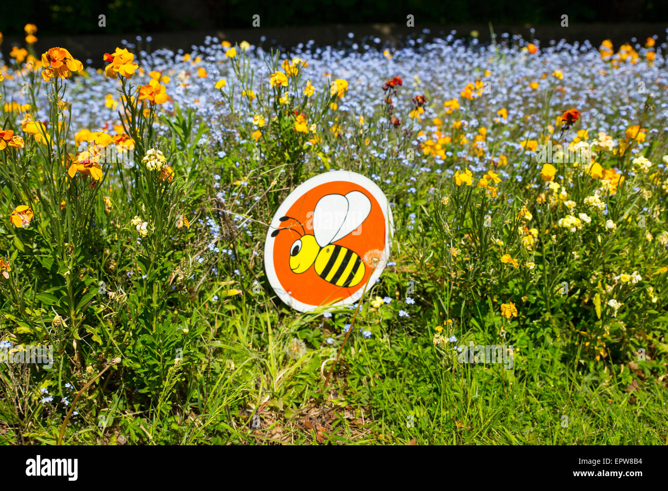 Helping bees hi-res stock photography and images - Alamy