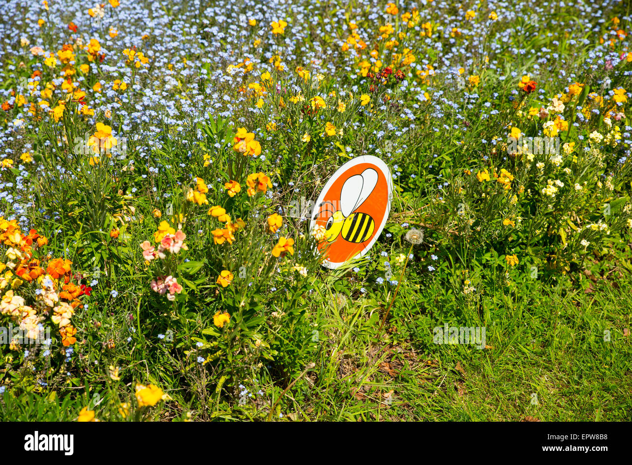 An area of wild flowers devoted to helping bees Stock Photo - Alamy