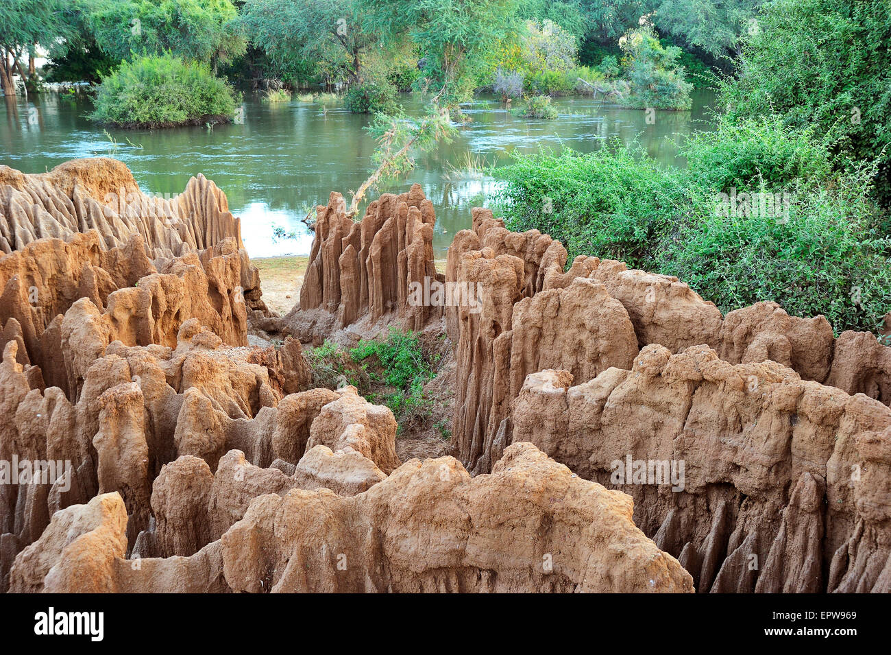 Forest soil erosion hi-res stock photography and images - Alamy