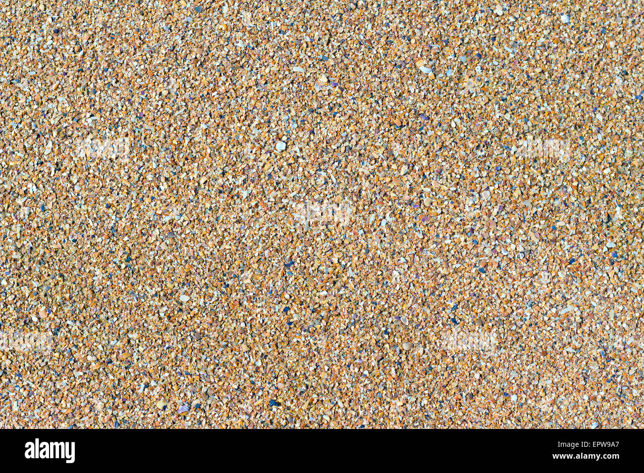 background of fine sandy shell close-up Stock Photo - Alamy