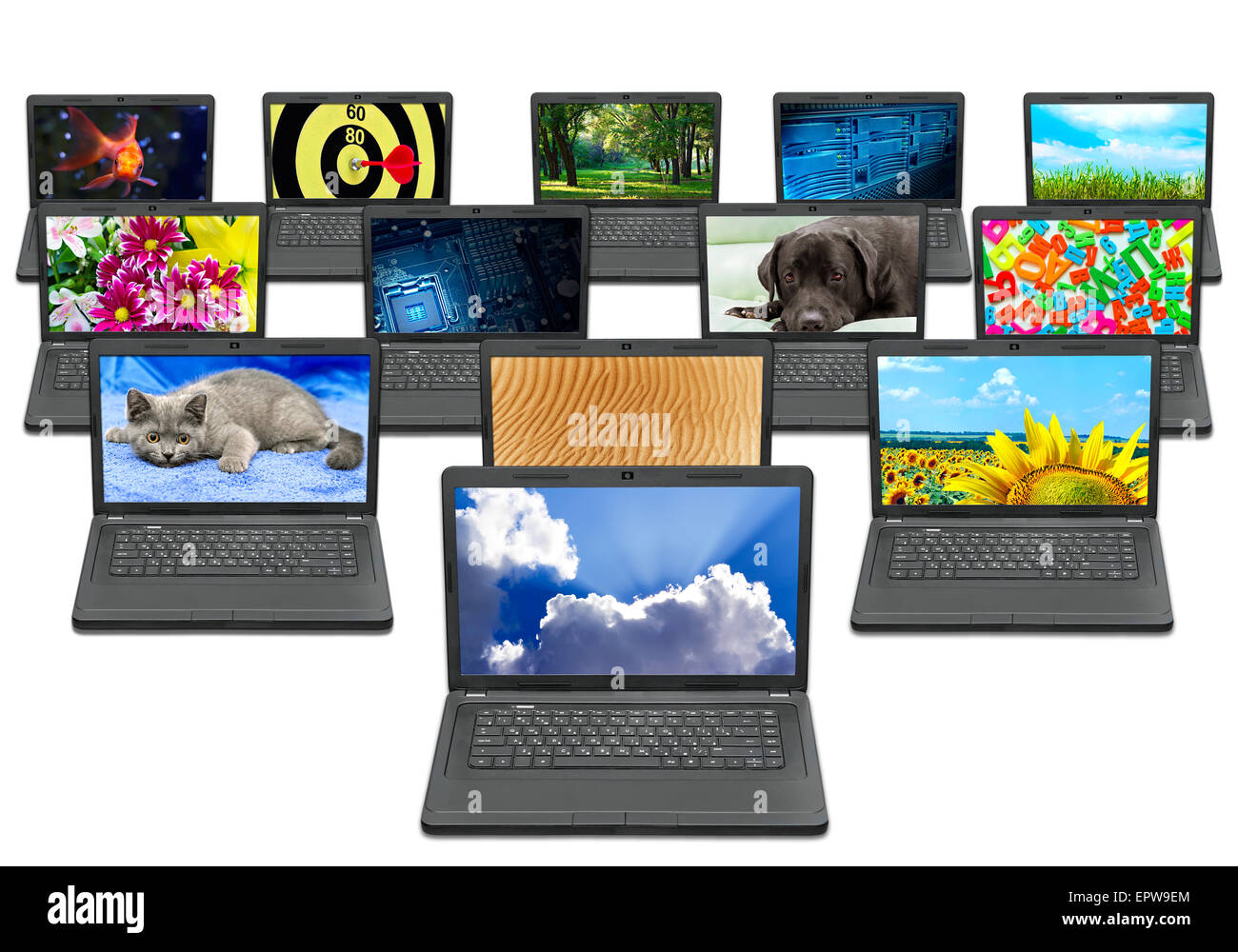 many laptops with different pictures on the screen isolated on white ...