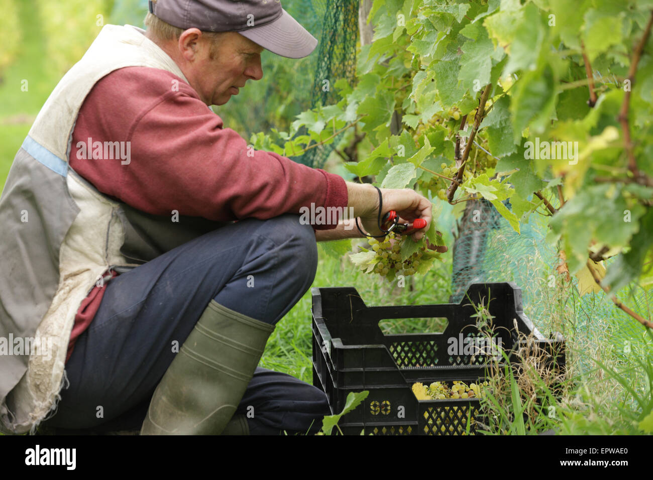 Parva tintern hi-res stock photography and images - Alamy