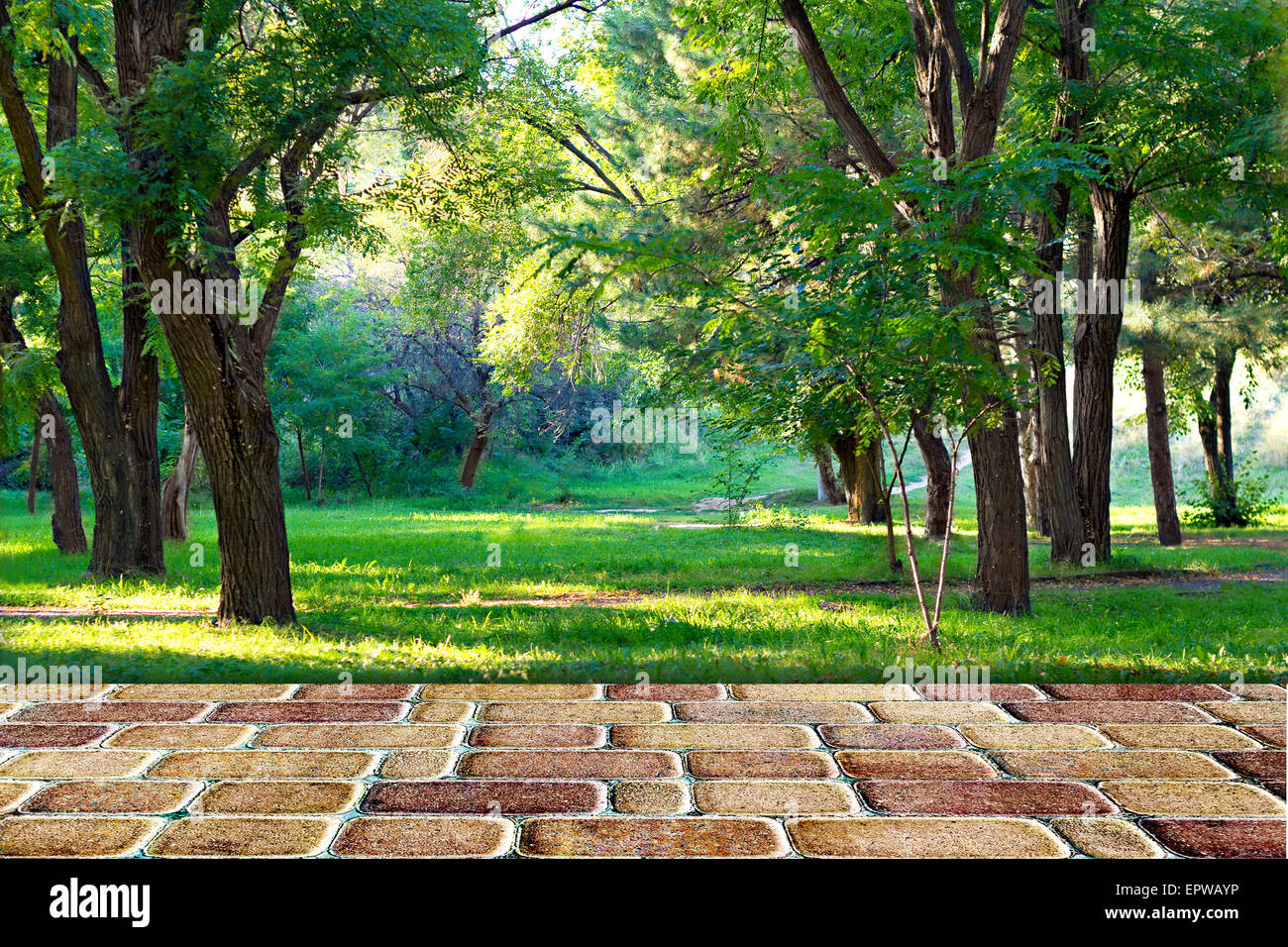 Pedestrian stone path in autumn park Stock Photo - Alamy