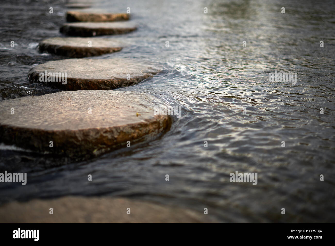Stepping stones across a flowing river Stock Photo - Alamy