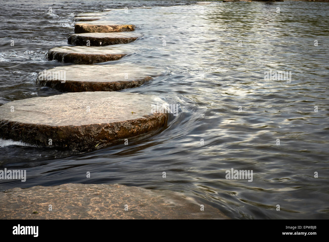 Stepping Stones Through A River