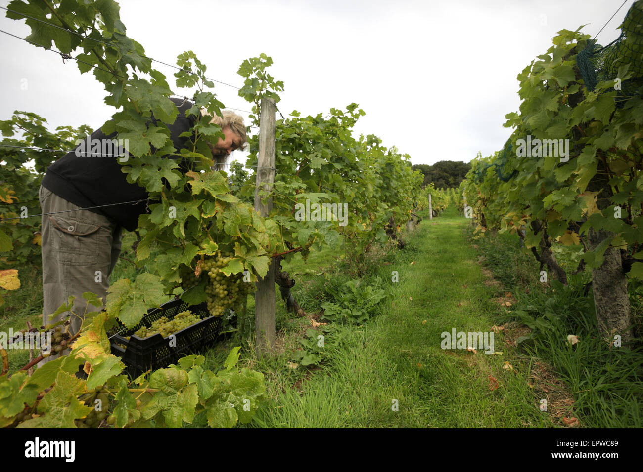 Tintern Parva High Resolution Stock Photography and Images - Alamy