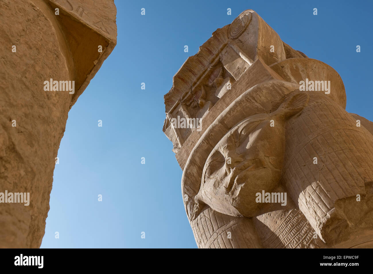 Column topped with the head of the cow Goddess Hathor, Queen Hatshepsut ...