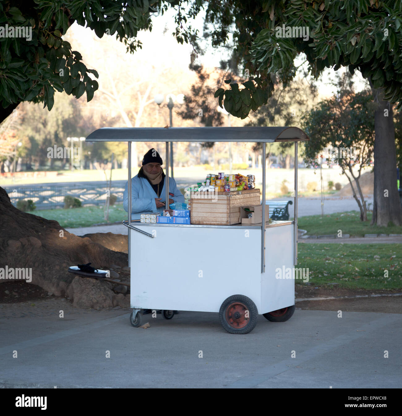 Man selling ice cream under a tree, Santiago, Chile Stock Photo - Alamy