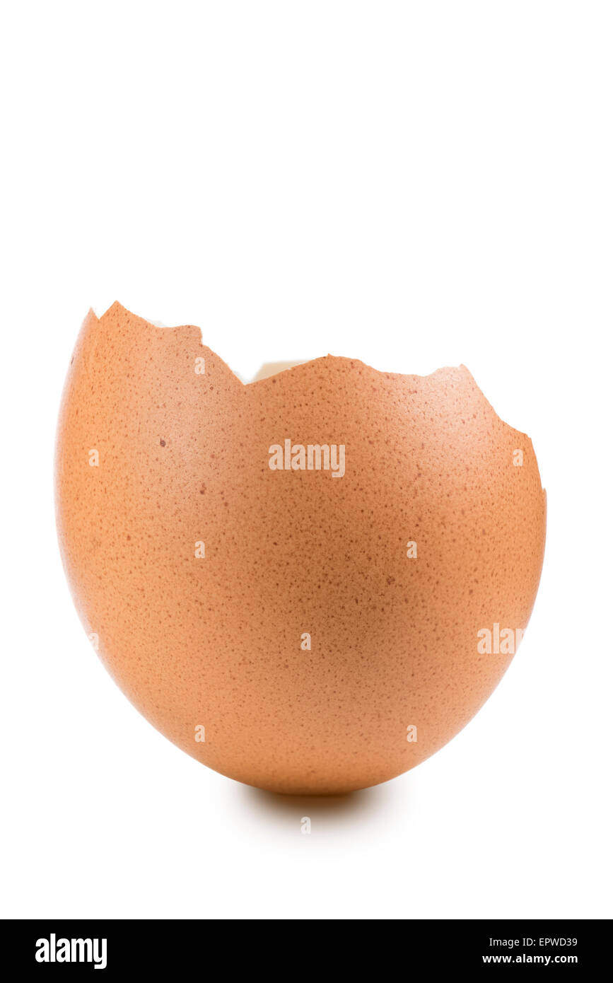broken egg shell, closeup on white background Stock Photo - Alamy