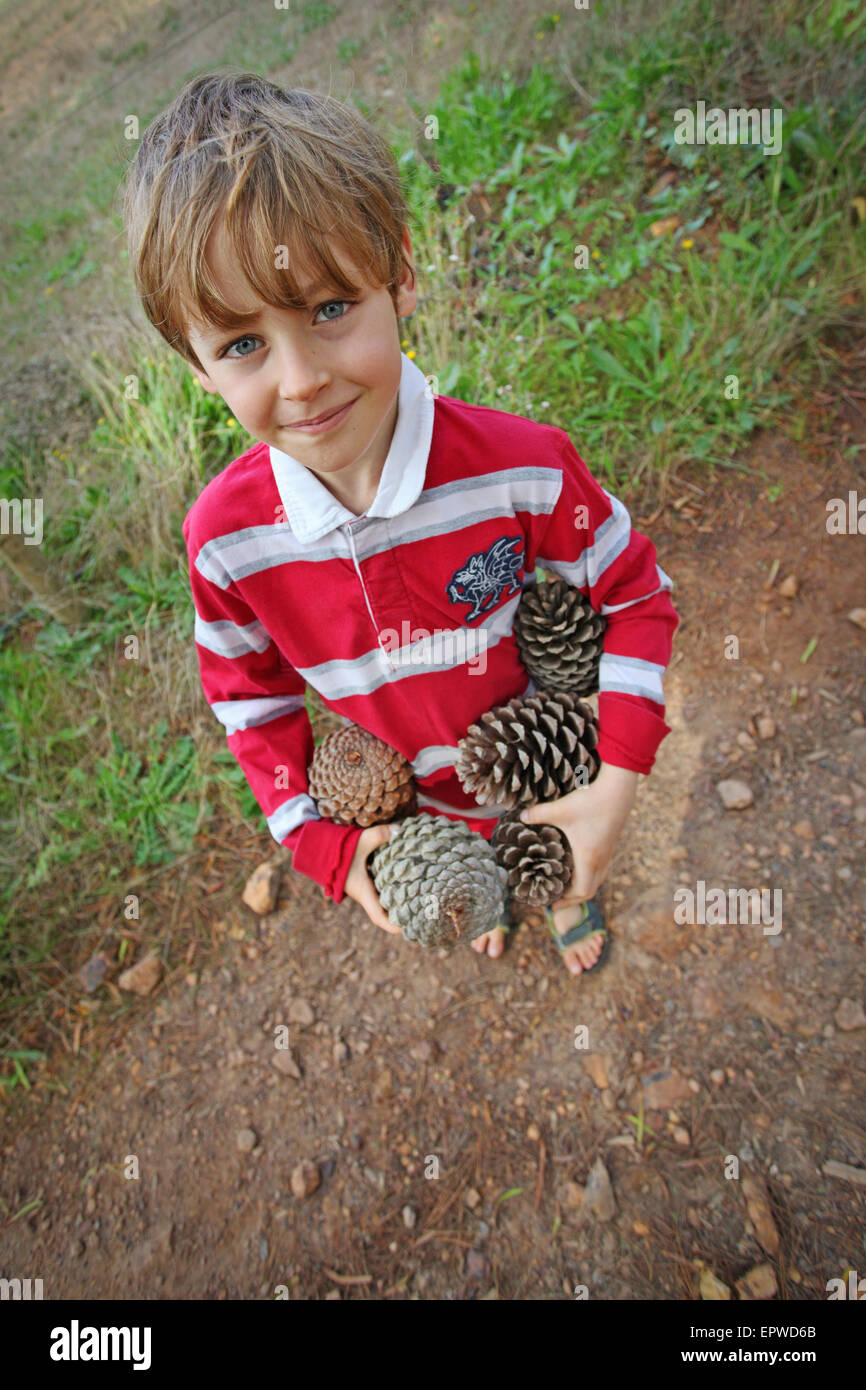 Young boy holding pine cones Stock Photo - Alamy