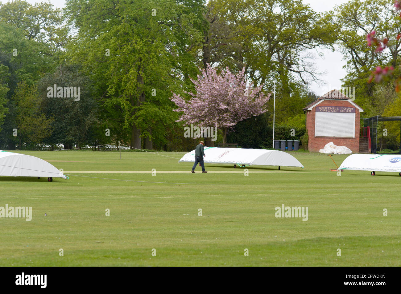Grounds keeper checking the wicket and square at Ampthill Cricket Club ...
