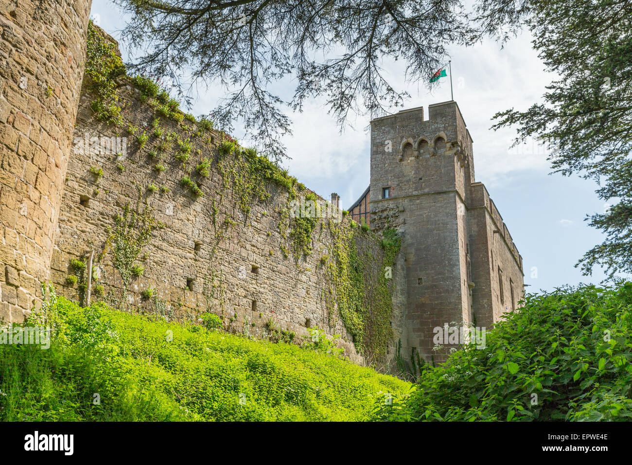 Humphrey de bohun hi-res stock photography and images - Alamy