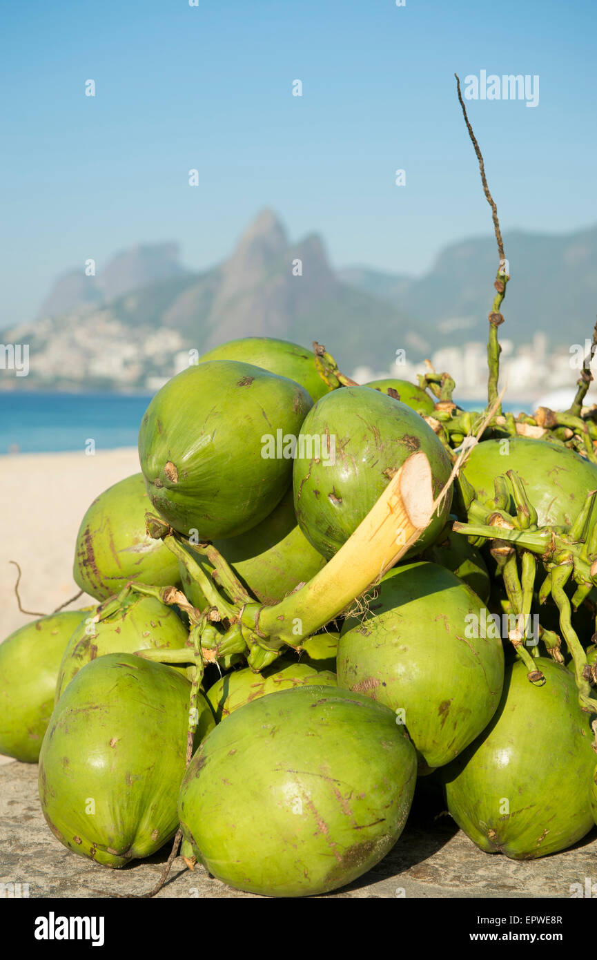 Bunch of fresh green Brazilian coco verde coconuts sitting in the sun ...