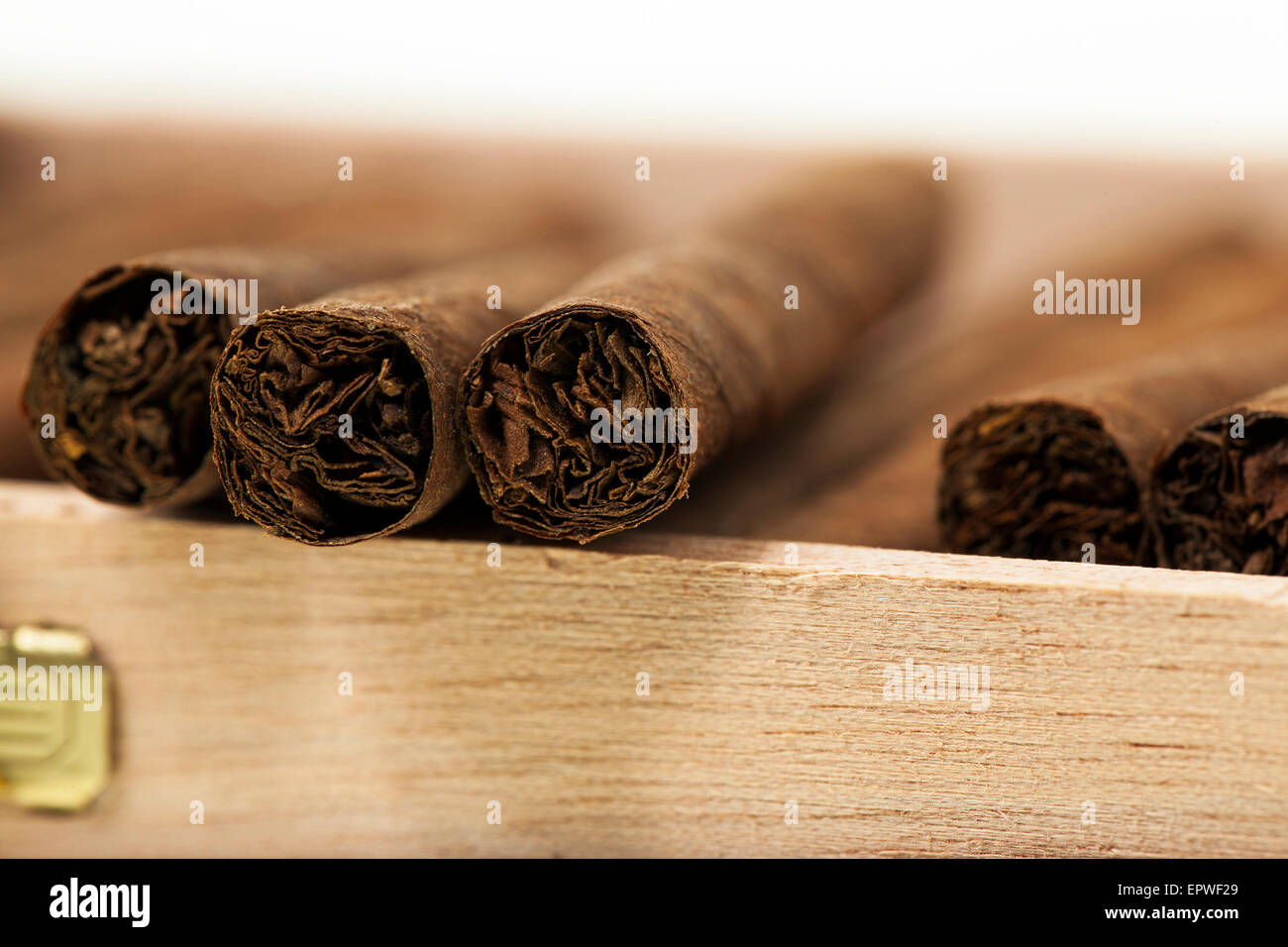 cigars in a box Stock Photo - Alamy