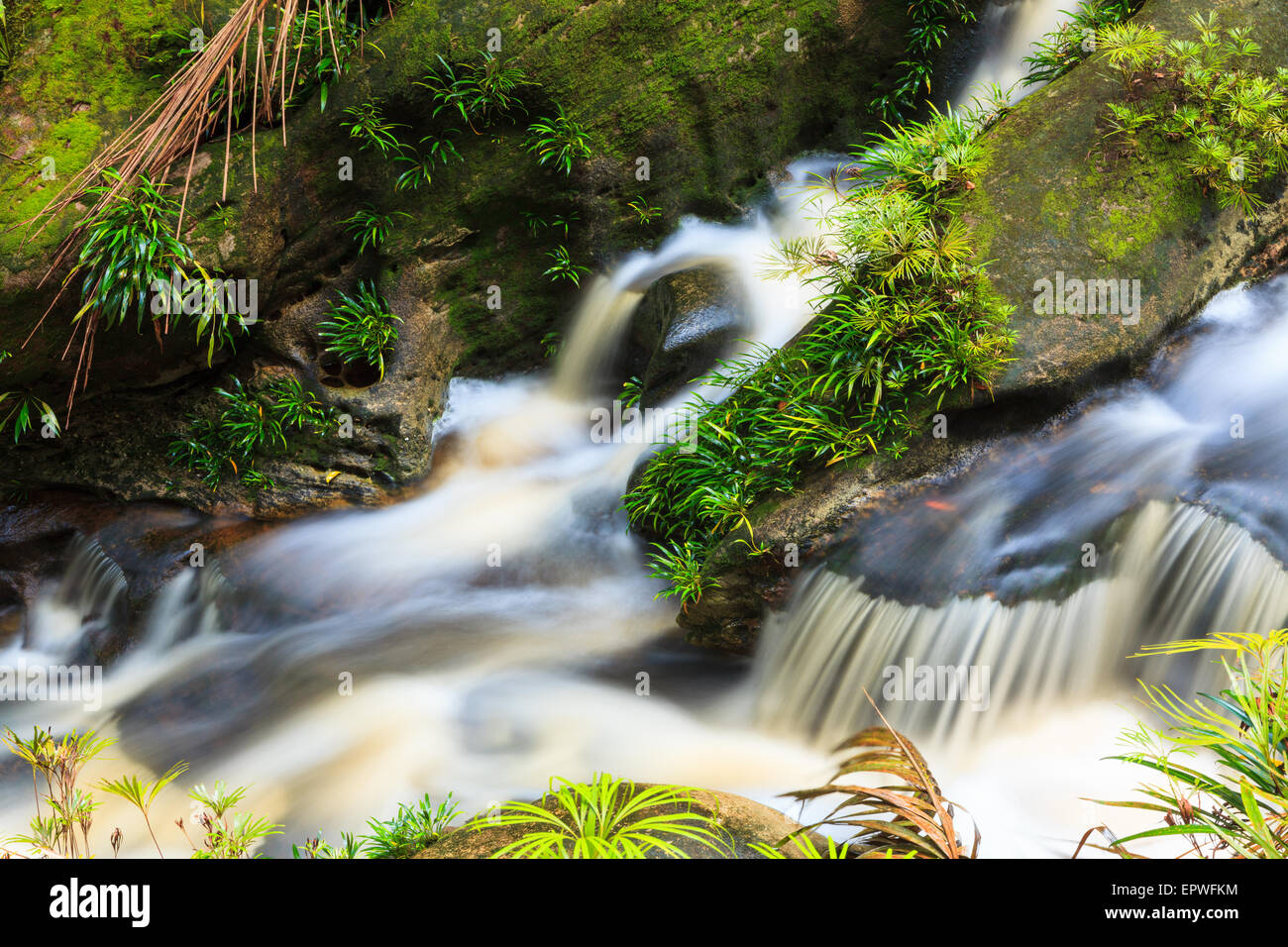 Small waterfall in jungle Stock Photo - Alamy