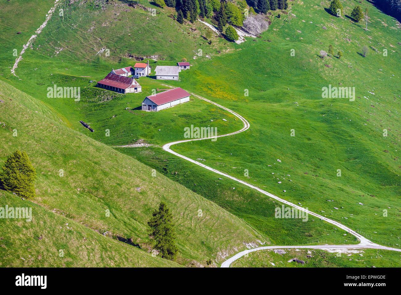 Busetto hi-res stock photography and images - Alamy