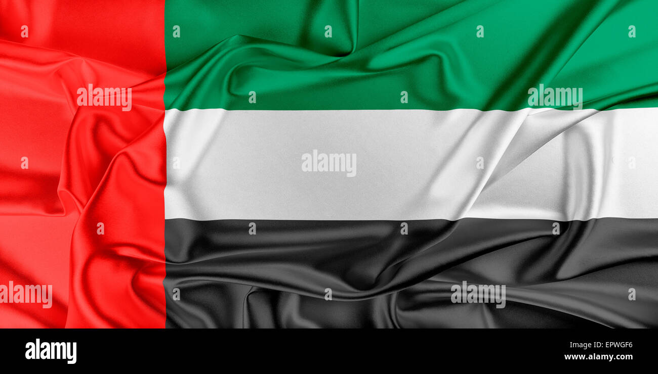 United arab emirates flag icon hi-res stock photography and images - Alamy