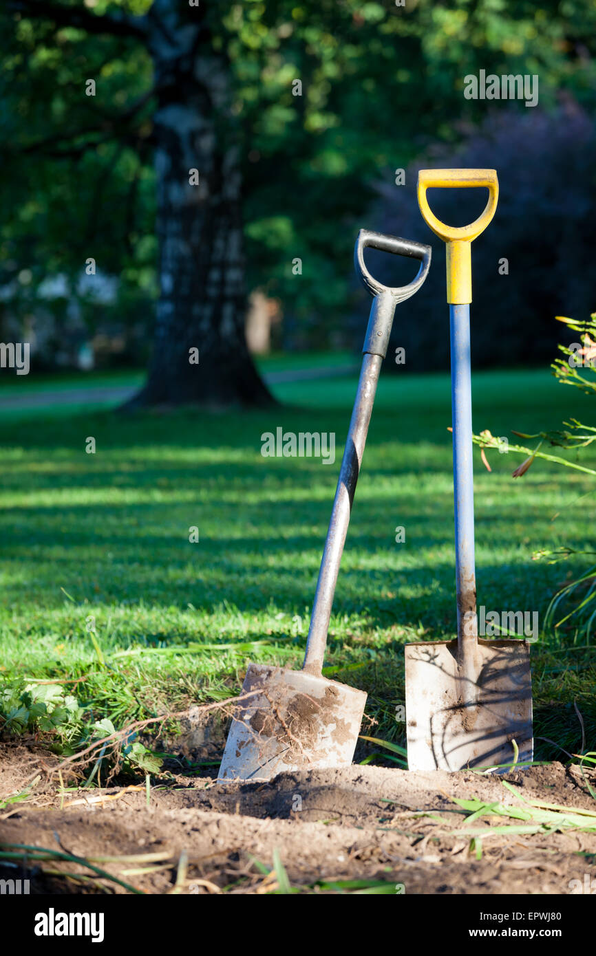 Two shovels in ground Stock Photo - Alamy