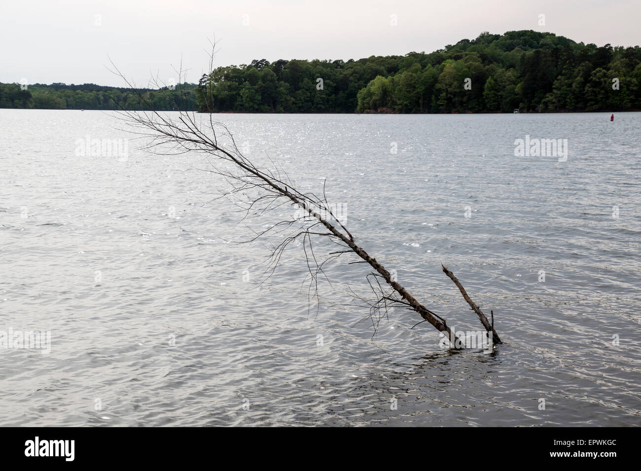 Lake Hartwell High Resolution Stock Photography and Images - Alamy
