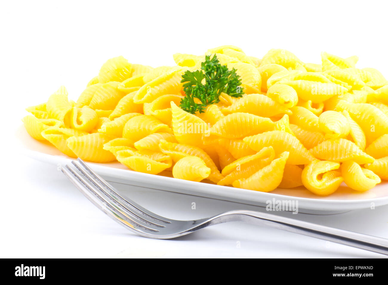 Macaroni and cheese made with shell pasta isolated on a white ...