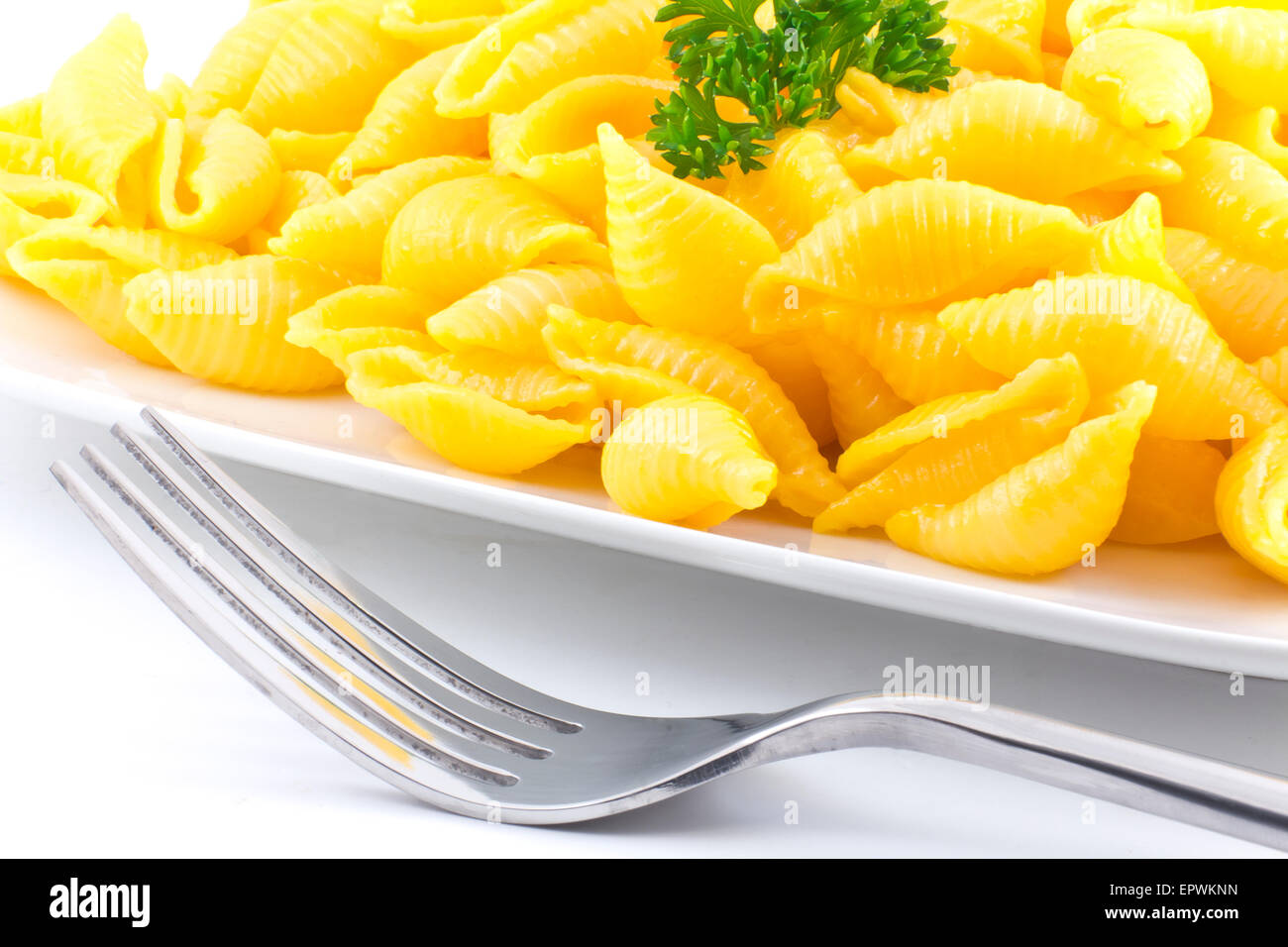Macaroni and cheese made with shell pasta isolated on a white ...