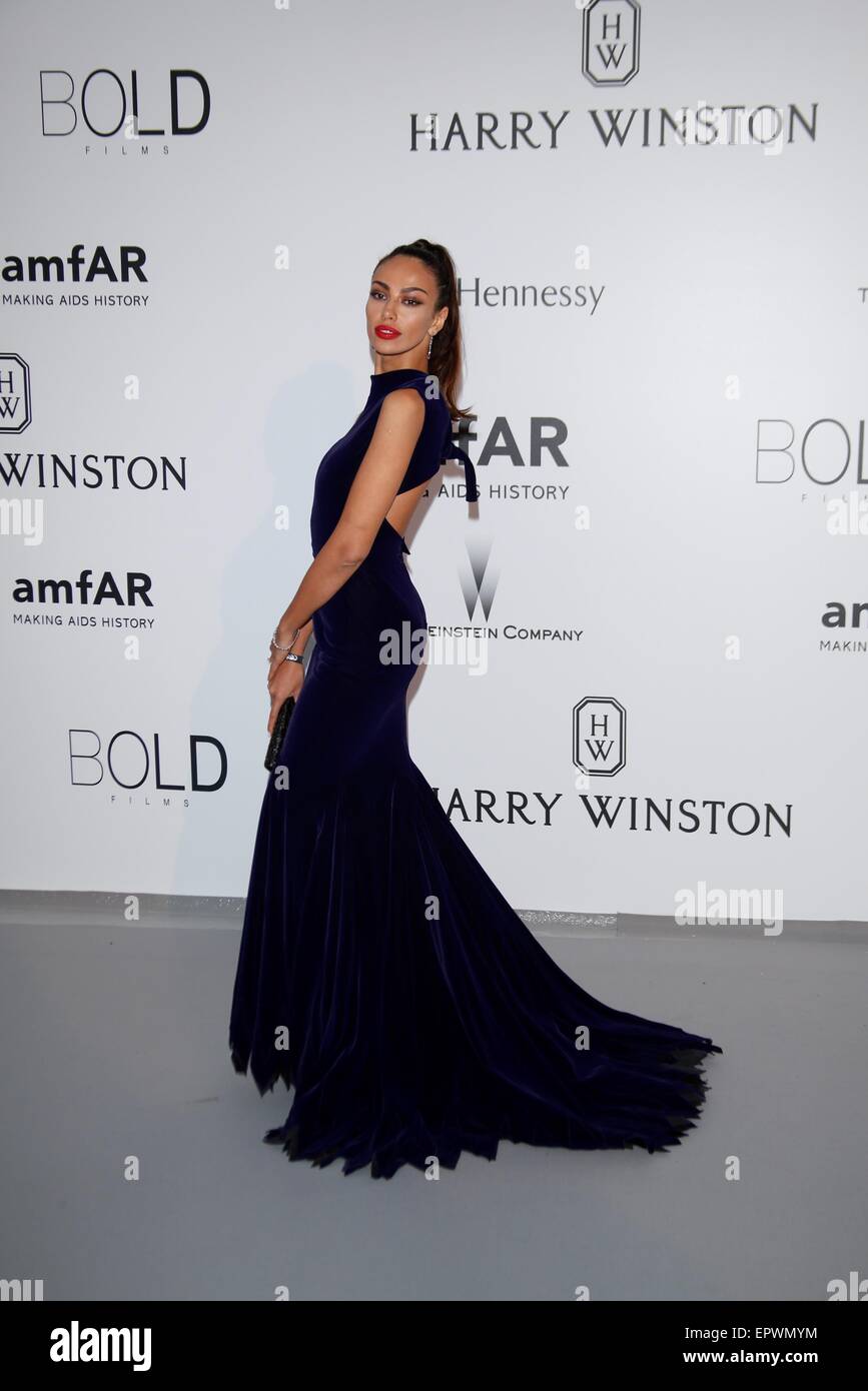 Model Madalina Ghenea attends amfAR's 22nd Cinema Against Aids gala ...
