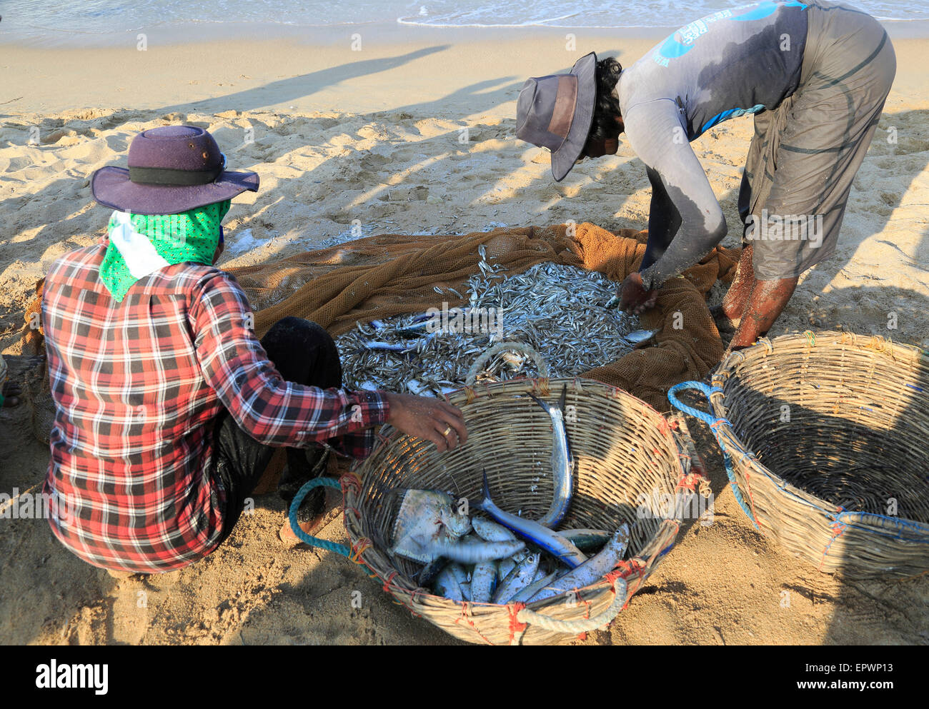 Traditional fishing hauling nets nilavelli beach hi-res stock ...