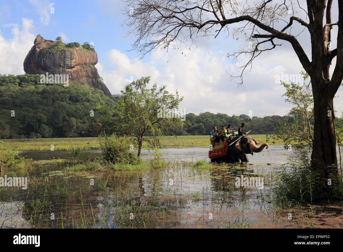 Elephant ride in lake by rock palace, Sigiriya, Central Province, Sri ...