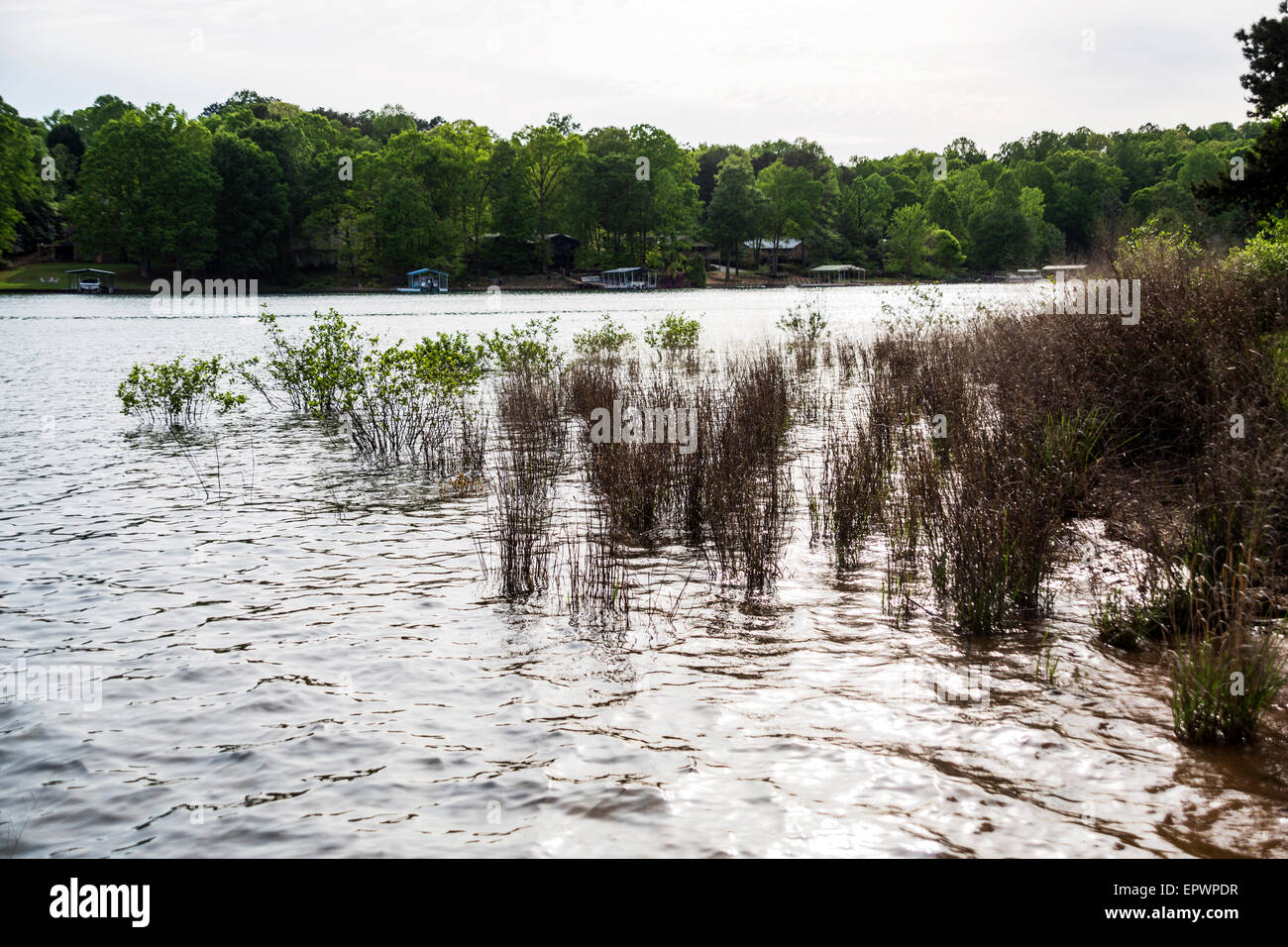 South Cove, Lake Keowee, Seneca, Oconee County, South Carolina, USA ...