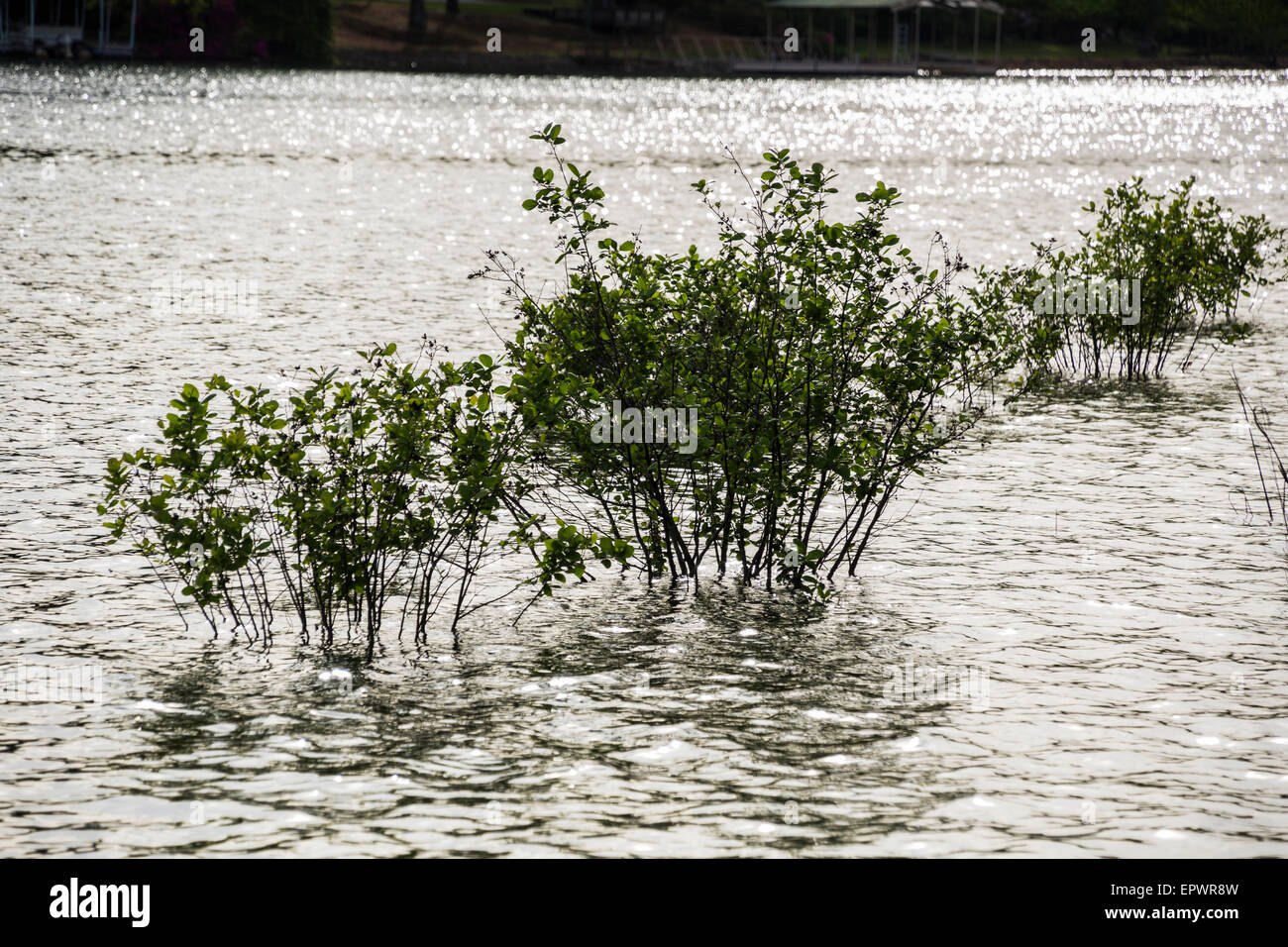 South Cove, Lake Keowee, Seneca, Oconee County, South Carolina, USA ...