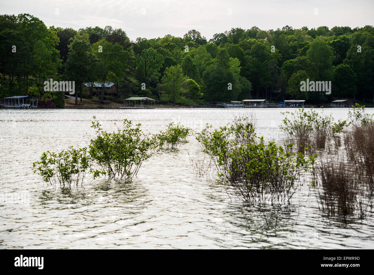 South Cove, Lake Keowee, Seneca, Oconee County, South Carolina, USA ...