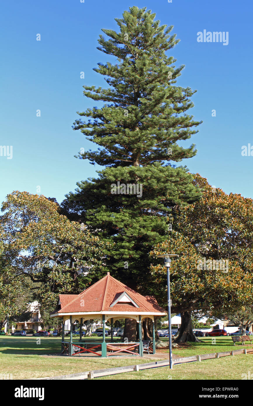 The bandstand in Steyne Park in Double Bay in Sydney Stock Photo - Alamy