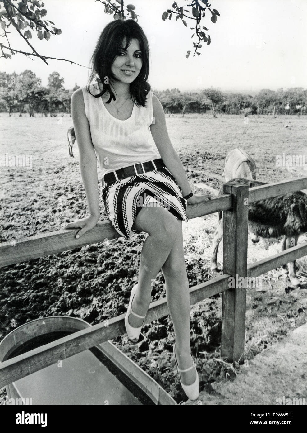 CAROL FRIDAY English actress,model and singer in August 1966. Photo ...