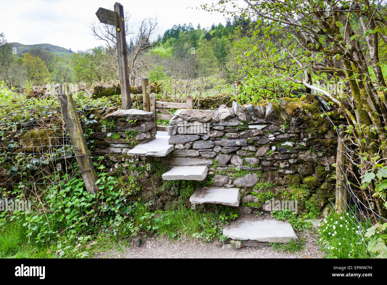 Small gate on top of a stone stile at a junction of the Cumbria Way ...