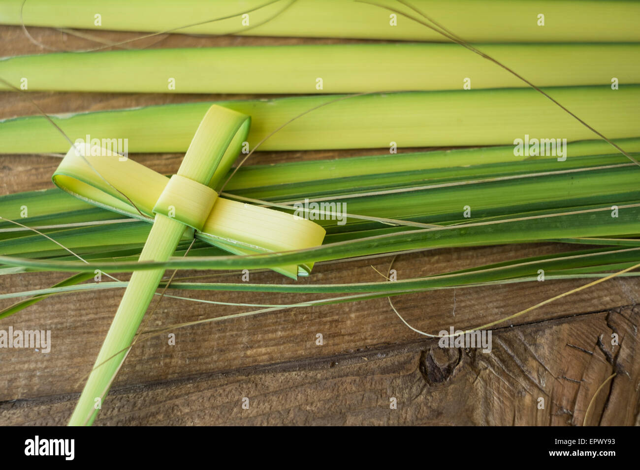 Palm sunday bundle hi-res stock photography and images - Alamy