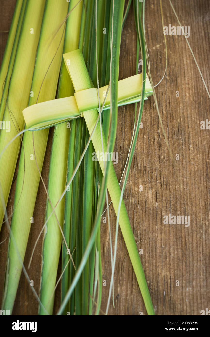 Palm sunday bundle hi-res stock photography and images - Alamy