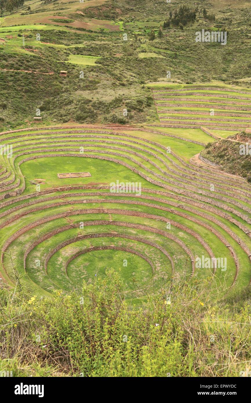 Circular Inca ruins at Moray in the Sacred Valley near Cusco, Peru ...