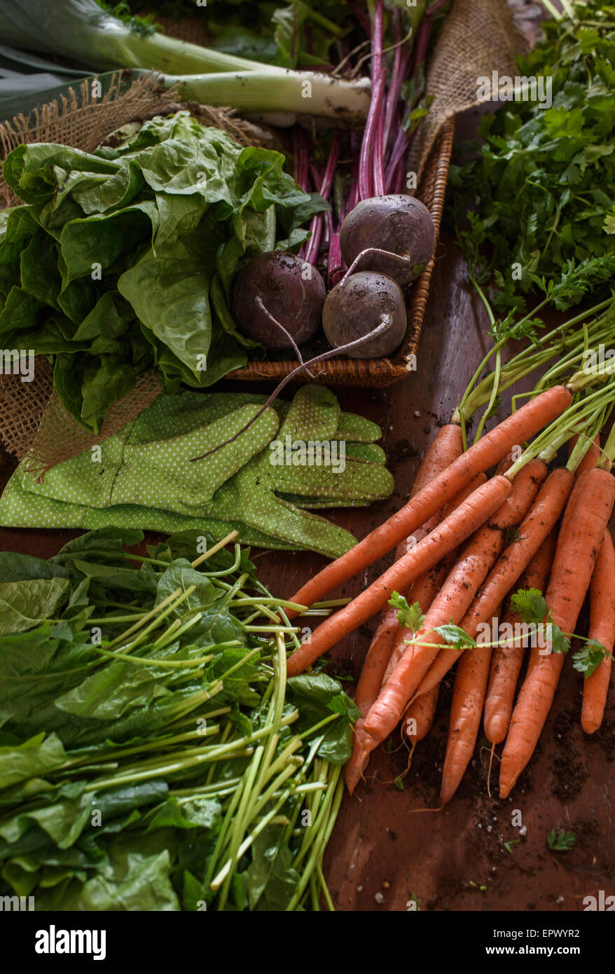 Close up of fresh vegetables Stock Photo - Alamy