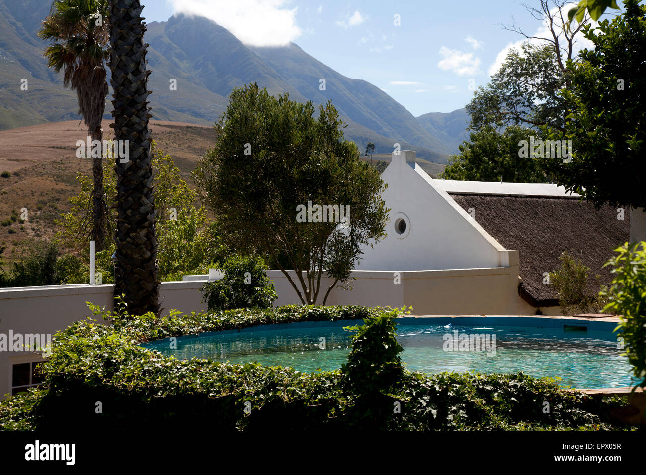 House swimming pool south africa hi-res stock photography and images ...