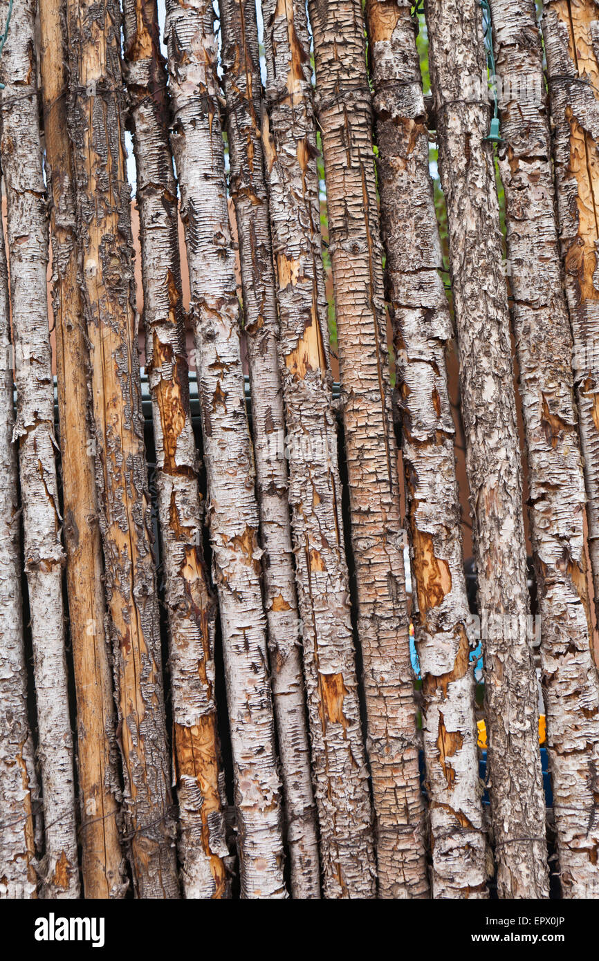 Tightly-spaced wooden posts made of pinon or juniper wood are ...