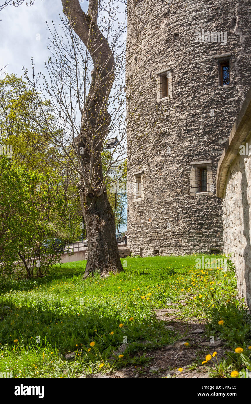 Medieval Tower In Springtime Stock Photo - Alamy