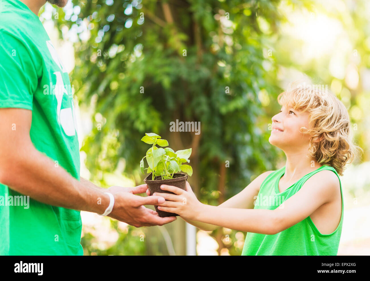 Giving plants hi-res stock photography and images - Alamy