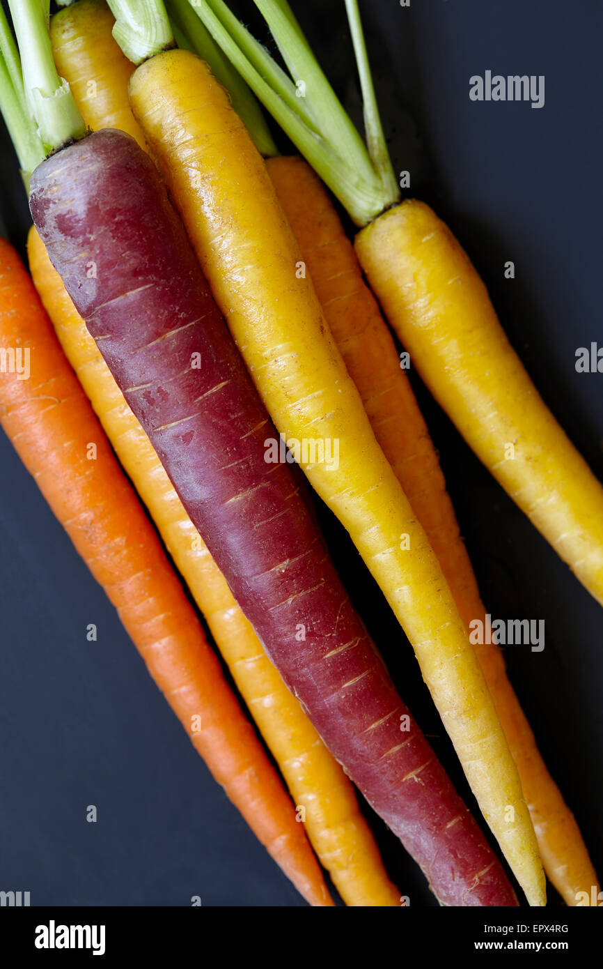 Colorful carrots on black background Stock Photo - Alamy