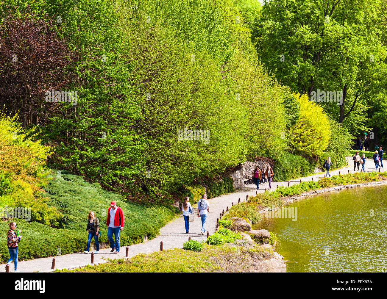 people walking in the park near a pond Stock Photo - Alamy